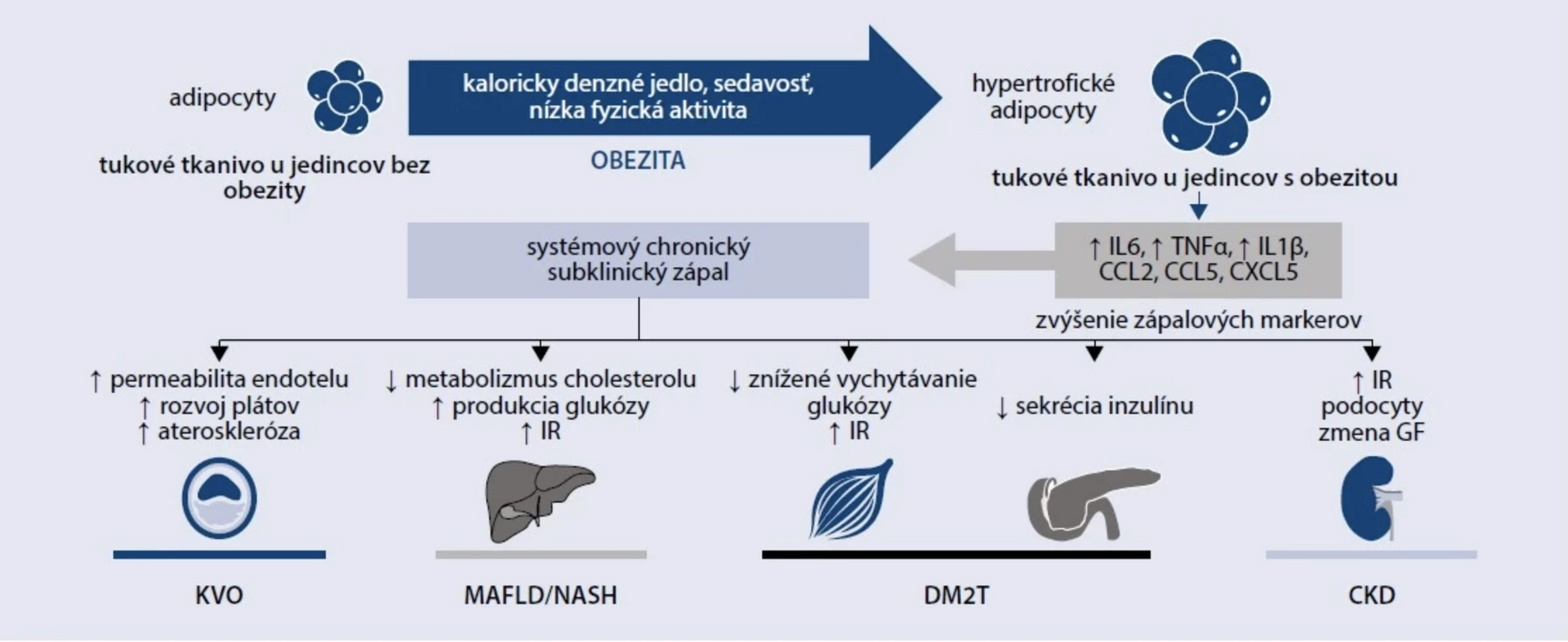 Obesity as a cause of cardio-nephro-hepato-m... | Forum Diabetologicum